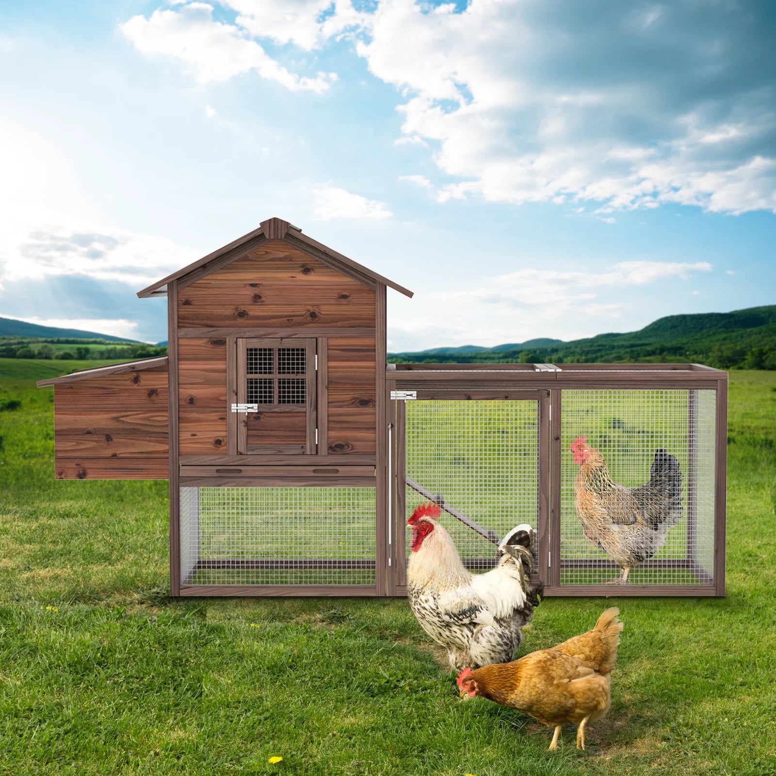 Hign-concerned Chicken Coop for 5 Chickens With Nesting Box – Cagnes ...